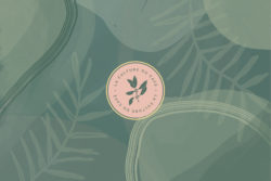 Brand Launch: Botanica - amarielael.com