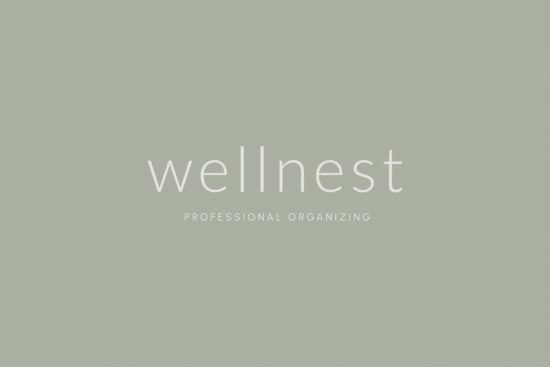 Brand Launch: Wellnest - amarielael.com