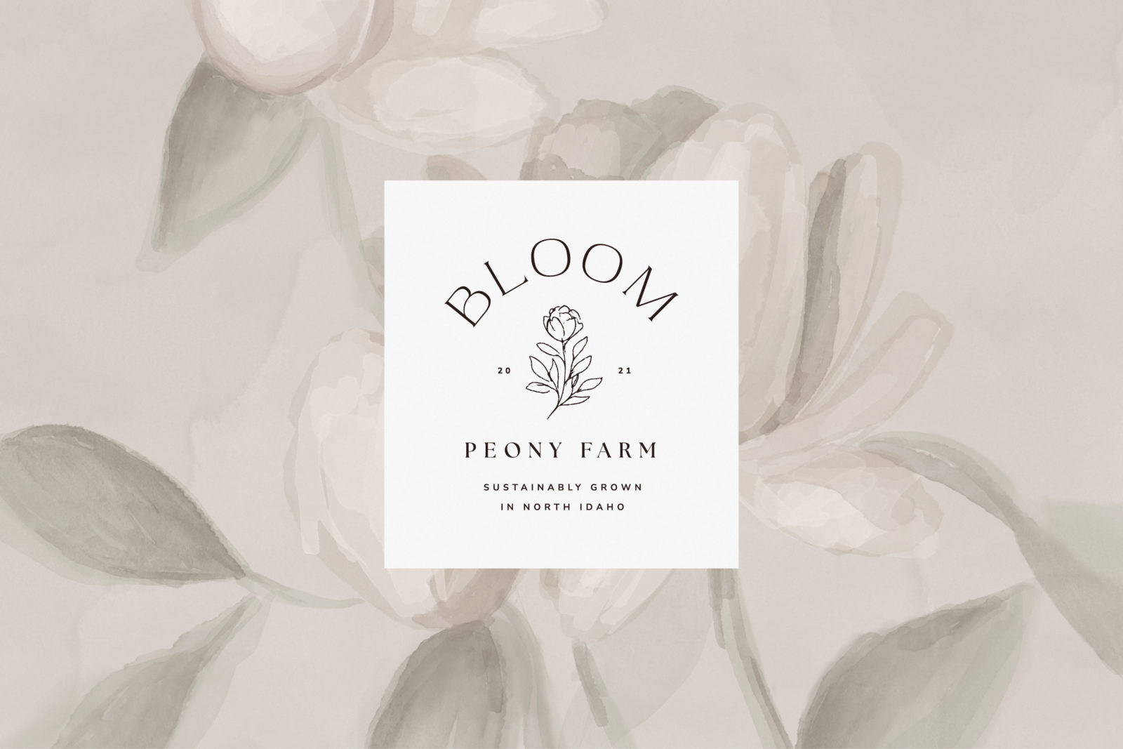 Brand Launch: Bloom Peony Farm - amarielael.com